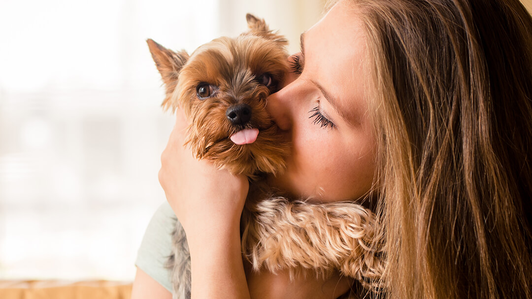 Understanding Dog Behaviours - Guides & Advice | Purina Understanding Dog Behaviours - Guides & Advice | Purina